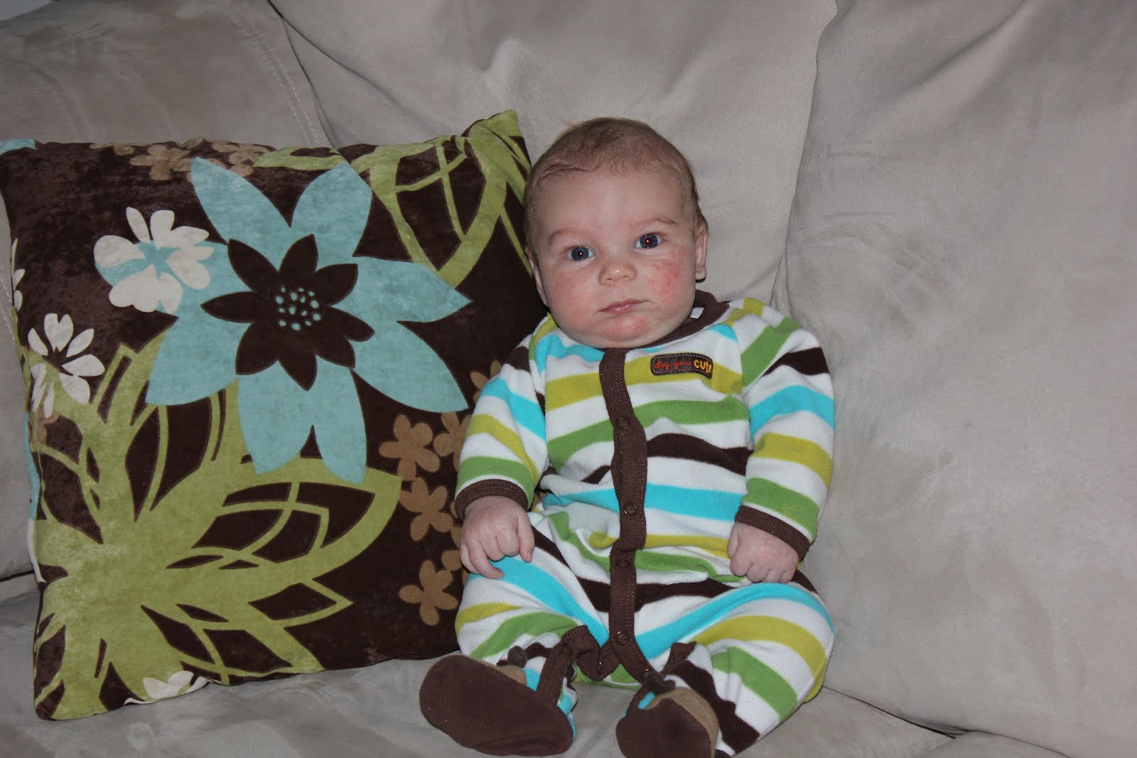 Hayden, Donovan and Emerson Gulya's Big Adventures