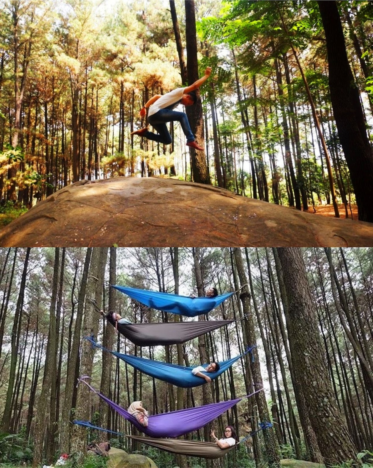 Apa Kenapa Dimana?: Naik - Naik ke Gunung Pancar, Sentul - Bogor.