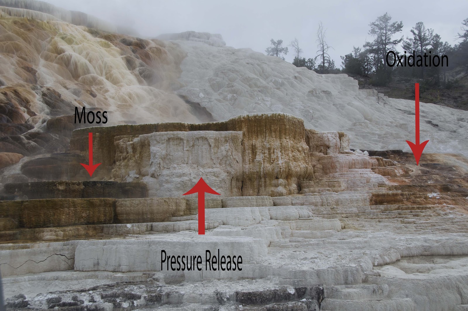 Yellowstone National Park: Mass Wasting and Weathering