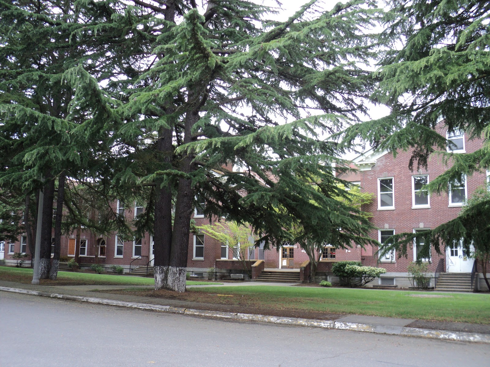 Walking Seattle Neighborhoods: Sand Point