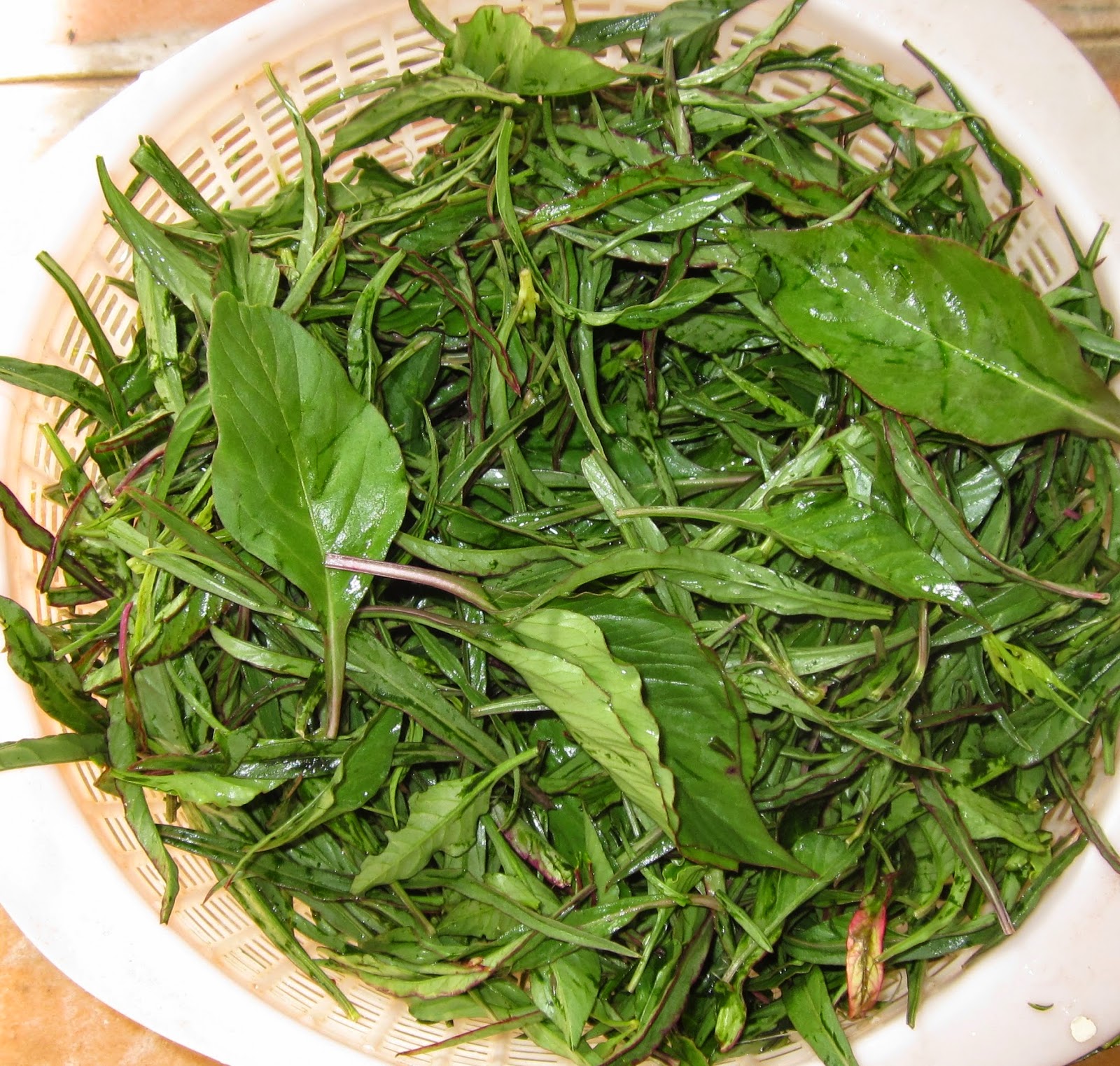 Pannai Keerai Masiyal ~ Kurinji Kathambam