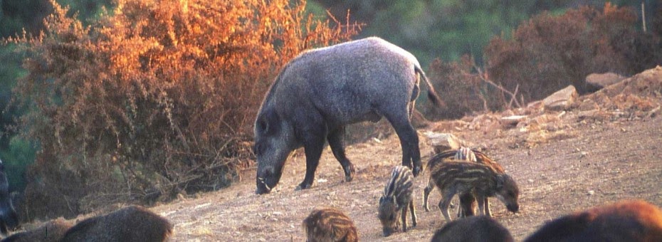 THE VIEW FROM FEZ: Exploring Morocco's Tazekka National Park
