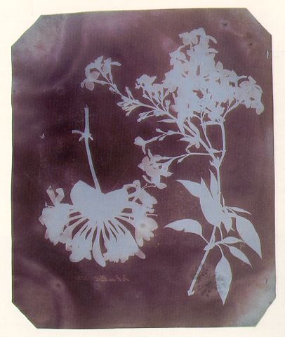 19 th Century Photographic Processes: The photogenic drawing