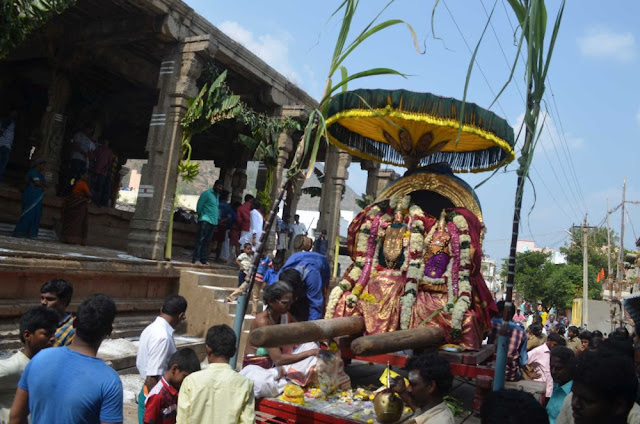 Uthrayana Puniyakalam 2017: Thamari Kulam - ARUNACHALA GRACE