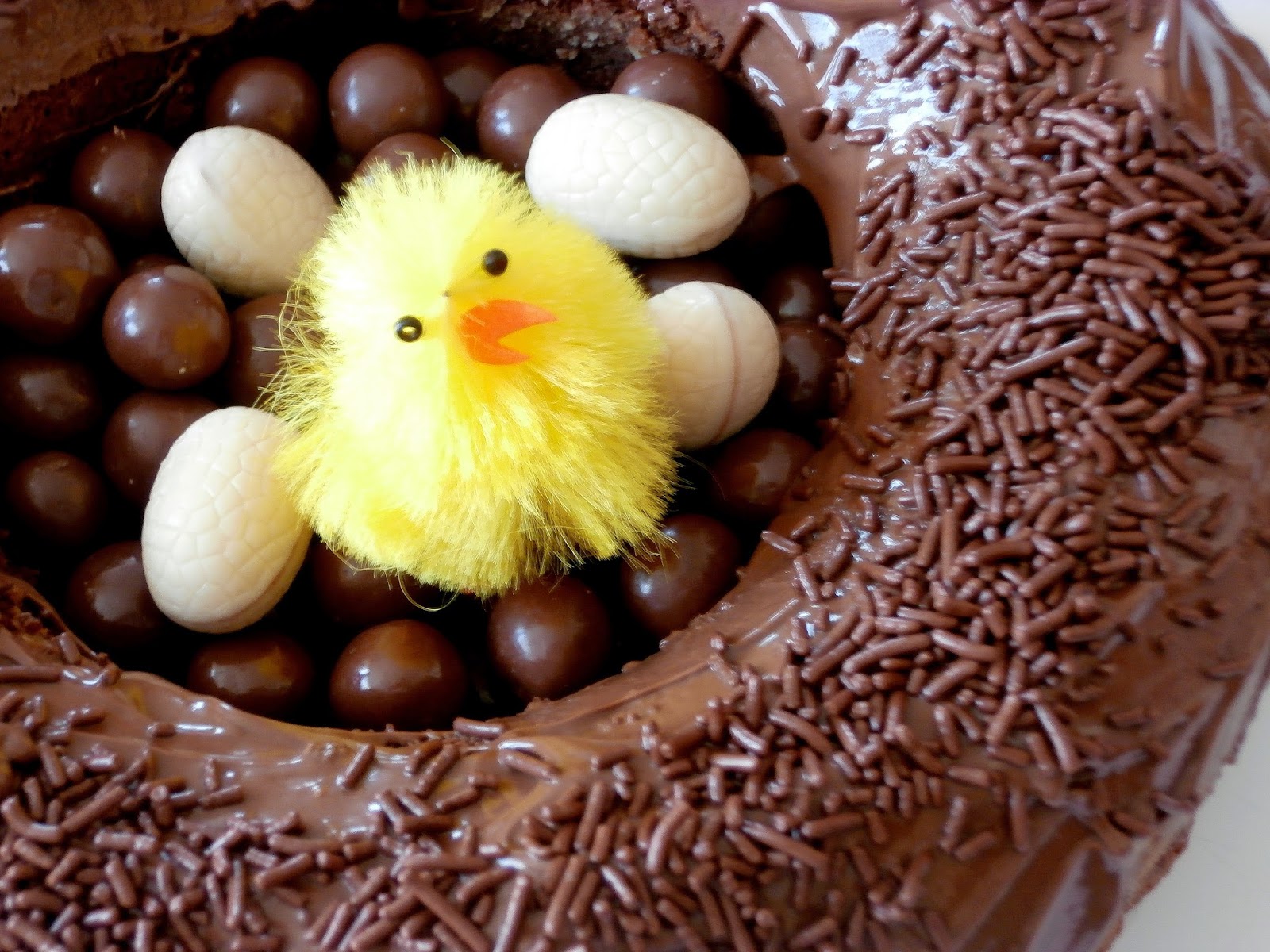 My Culinary Curriculum: Nid de Pâques au Nutella très facile (Easter ...