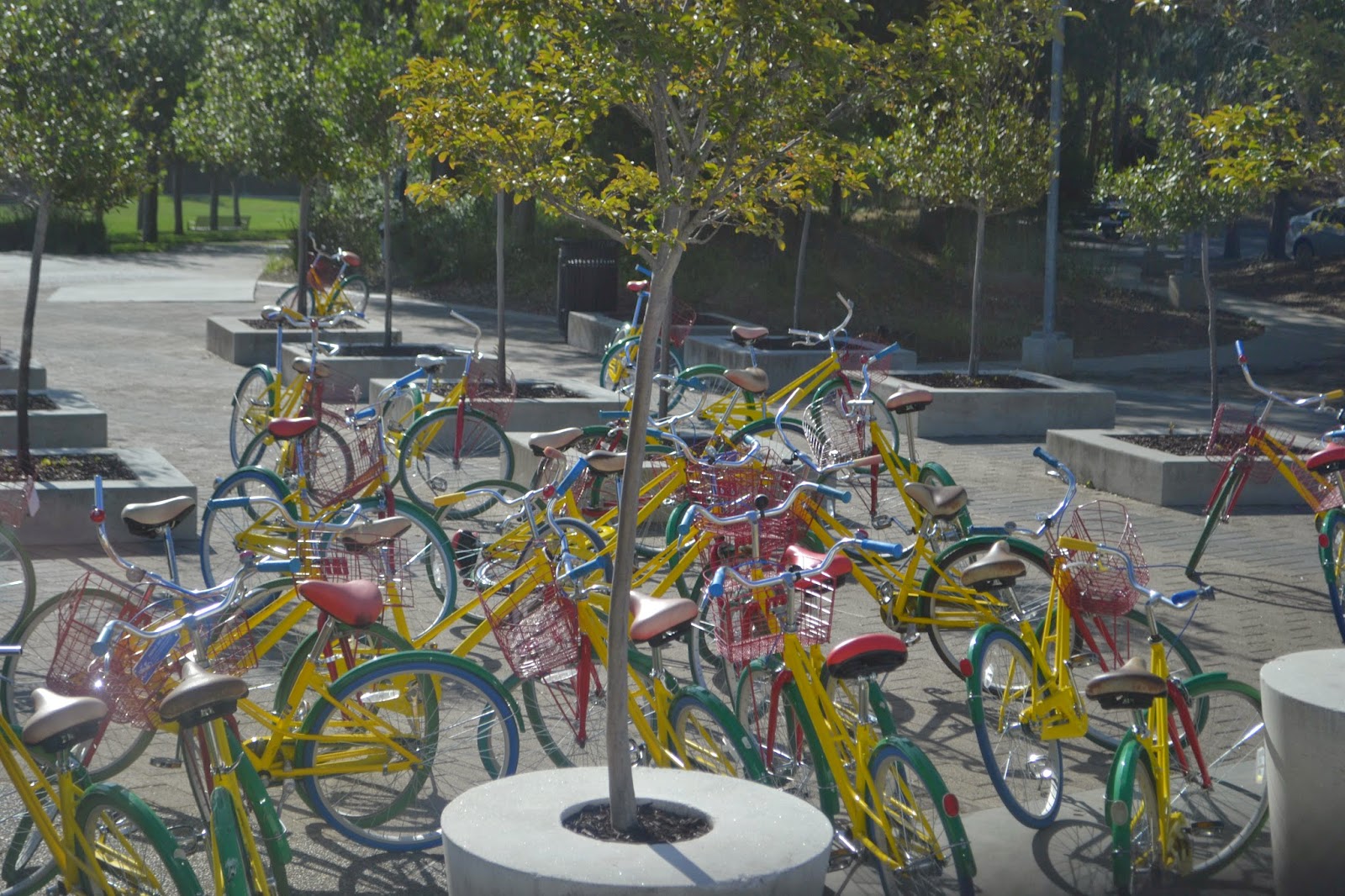 Pleasurable Hobbies: Google Bikes