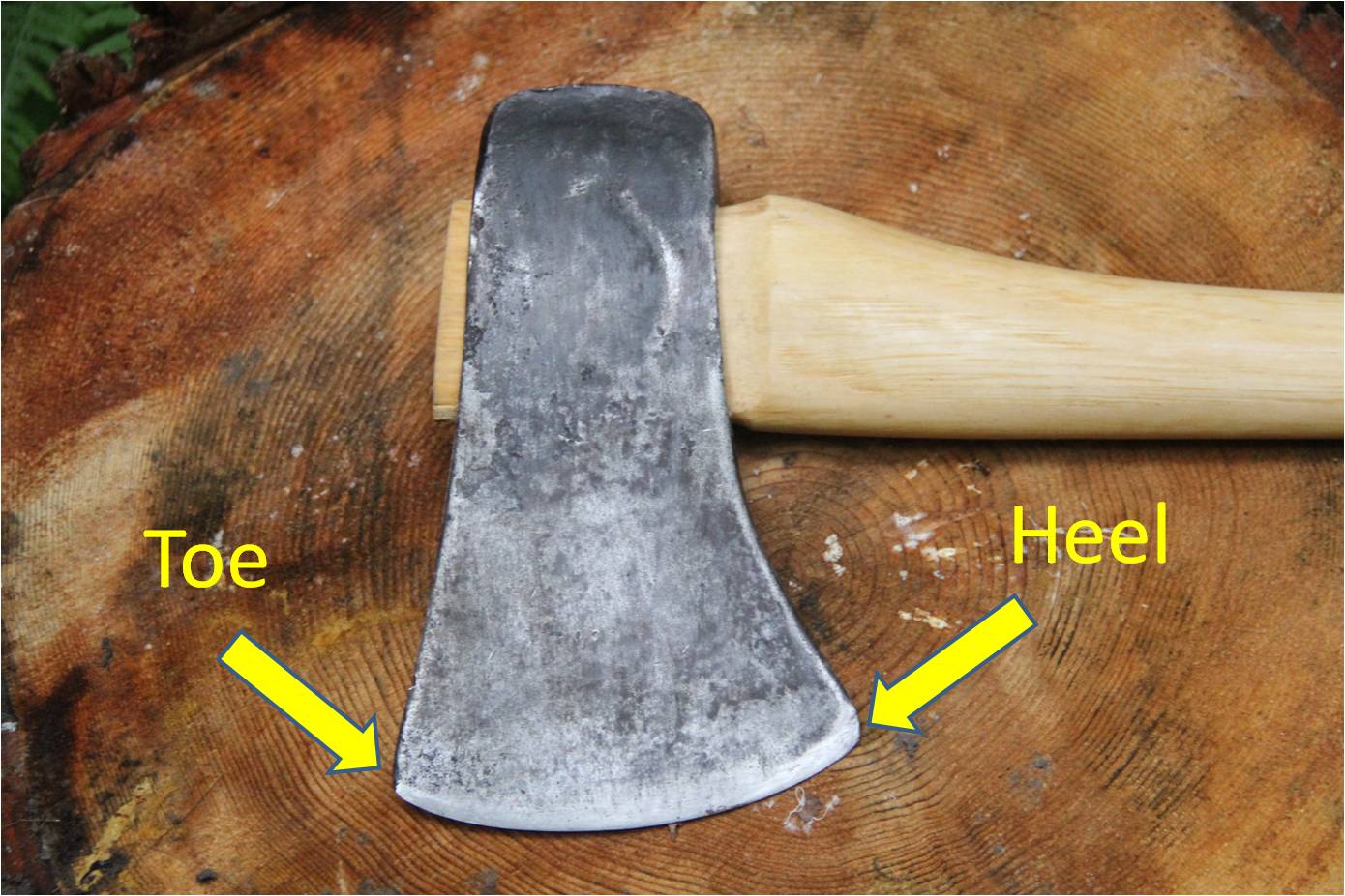 Isabella Conservation District Environmental Education Program: Logging ...