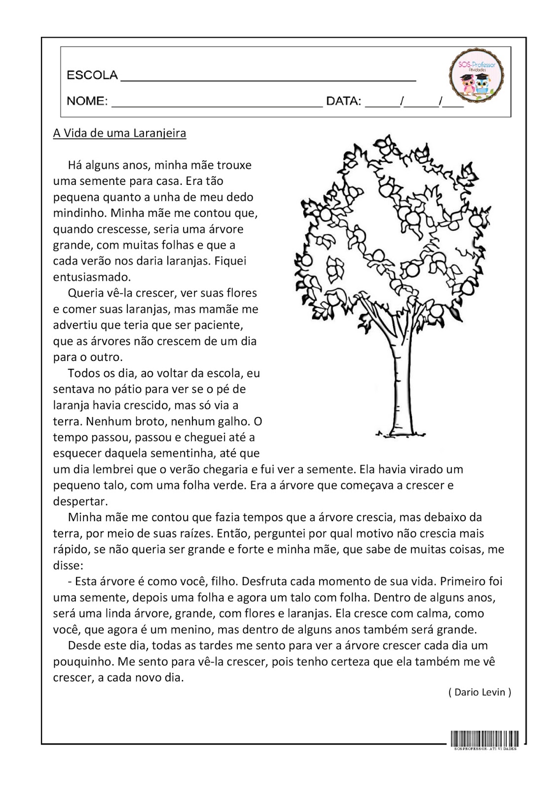 Historia Sobre A Arvore - FDPLEARN