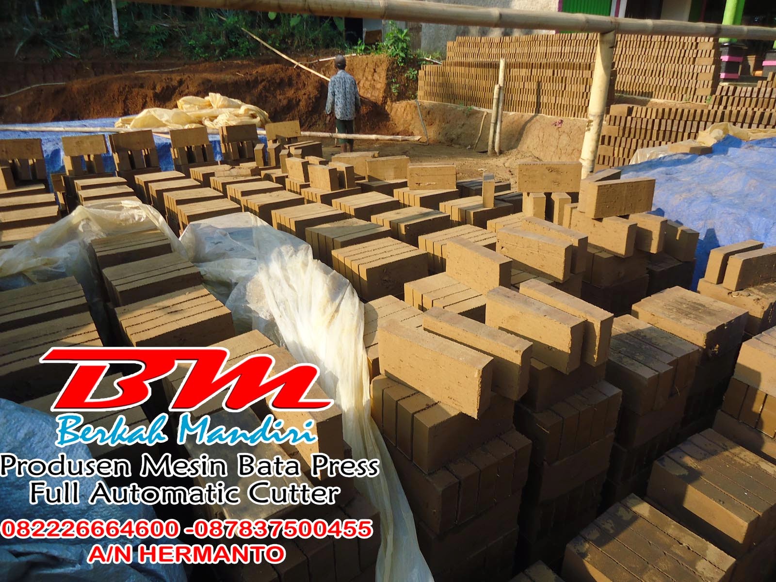 Hasil Produksi Bata Merah Press | MESIN BATA PRESS OTOMATIS
