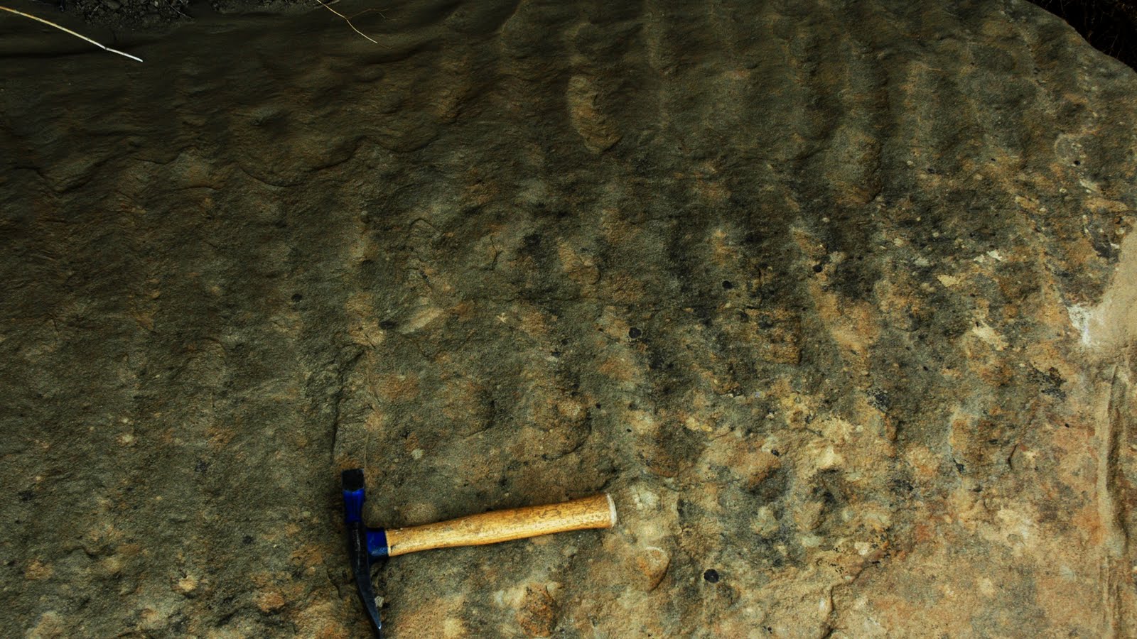 Sedimentary Structures and Bedforms