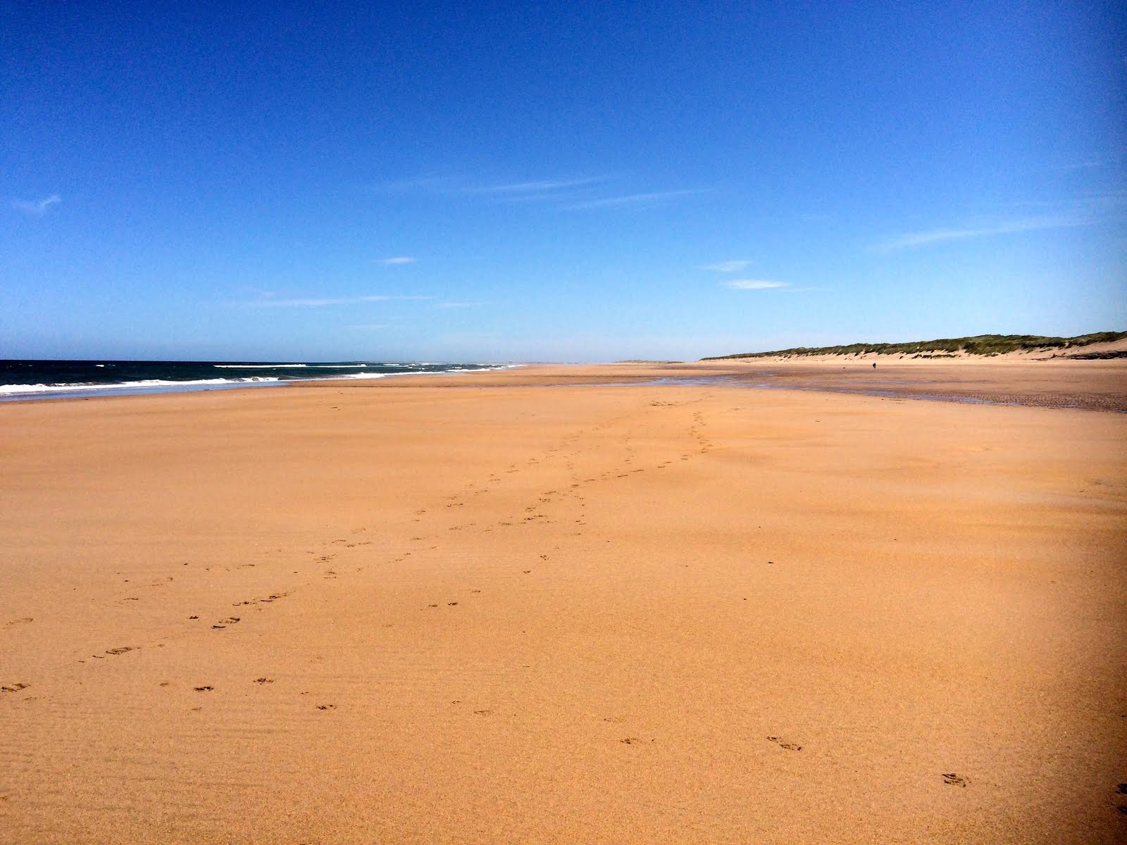 Days out in the Borders : Cheswick Sands