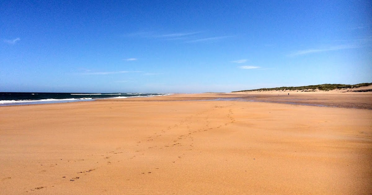 Days out in the Borders : Cheswick Sands