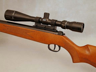 Archer on Airguns: Archer Airguns Introduces Xisico Air Rifles