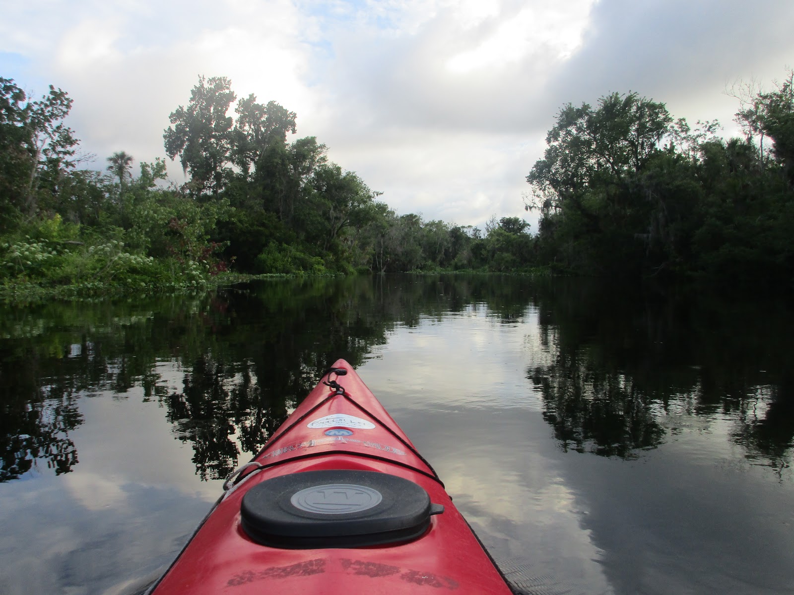 Dave's Yak Tales: Wekiva River