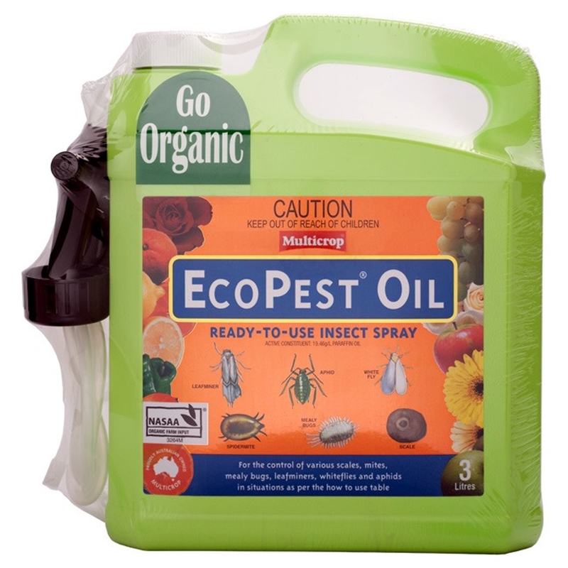 Linda's Blogs: Pest and Diseases - Lemons