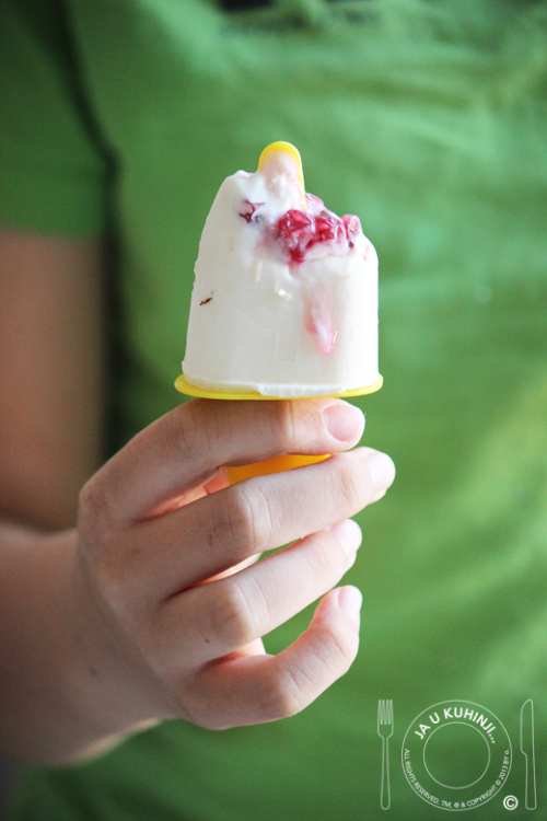 JA U KUHINJI...: Domaći Sneško (sladoled)