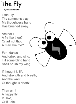 Poem : The Fly