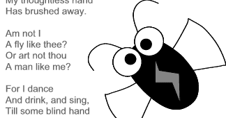 Poem : The Fly