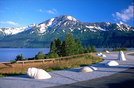Alaska's Seward Highway Trip By Road | Animal Heaven