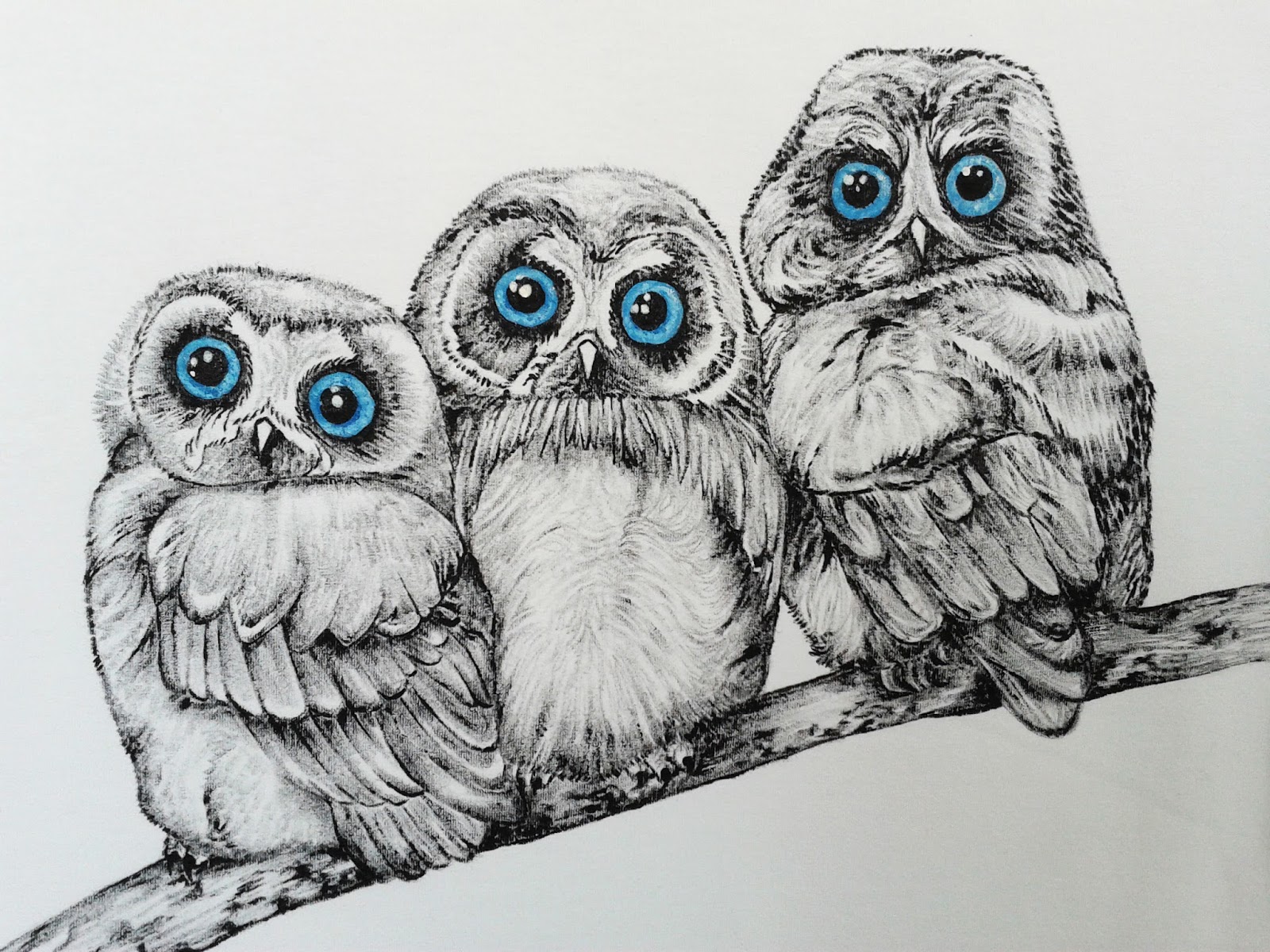 Agnieszka Na Opak: SOWY