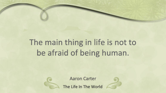 Top 10 Aaron Carter Quotes : Part 1 Of 2 | The Life in The World