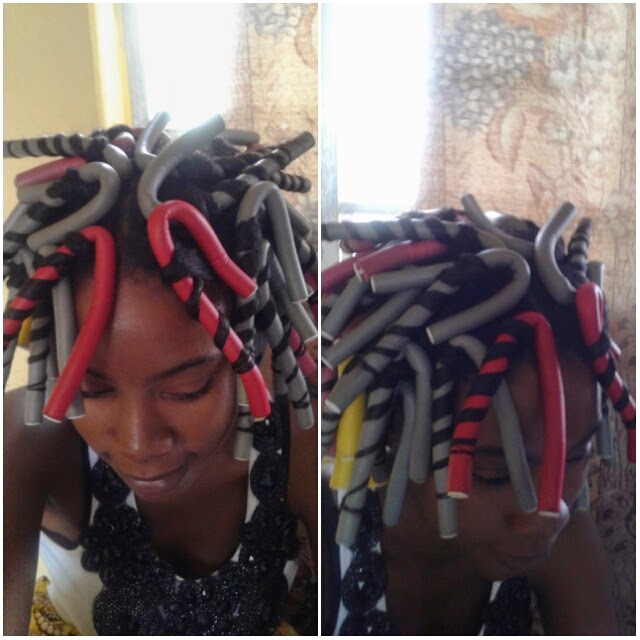 Flexi-rods: Traditional method vs. Two-strand twist method - Let's Grow ...