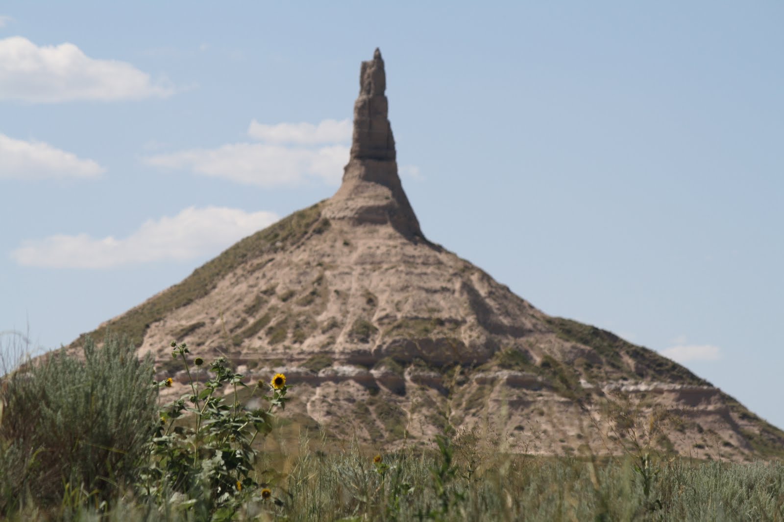 The Blue Whale and Other Travel Tales: Landmark on the Nebraska Quarter