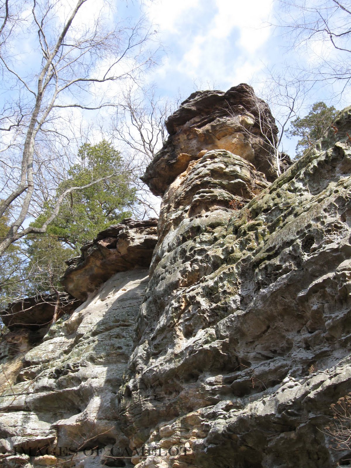 Images Of Camelot Photography and Design: Southern Illinois