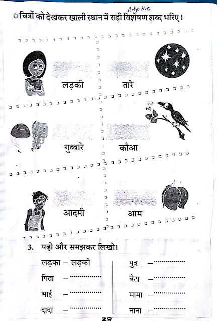 Hindi Grammar Work Sheet Collection for Classes 5,6, 7 & 8: Adjectives ...
