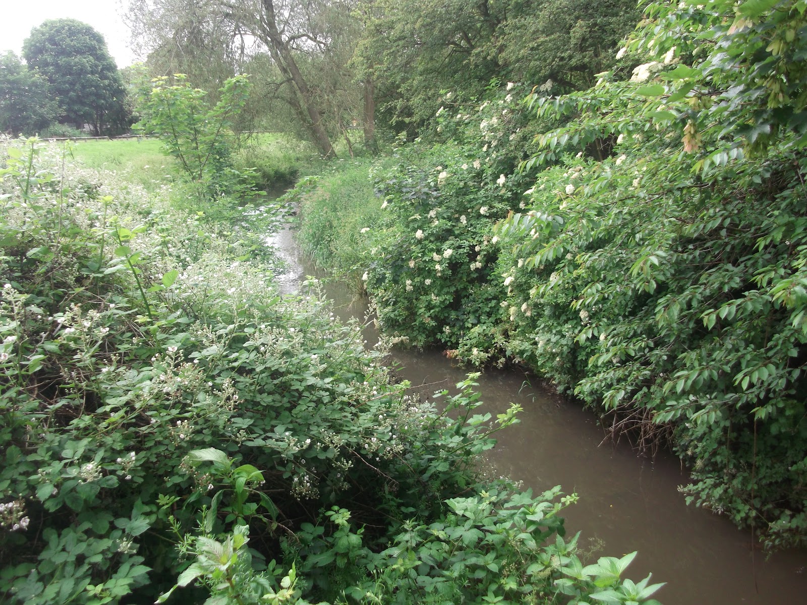 A Brummie's Guide to Birmingham: River Rea; Cartland Road – Dacer Close