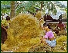 WINDOW OF KNOWLEDGE: COIR AND WELFARE PROJECT FOR COIR WORKERS