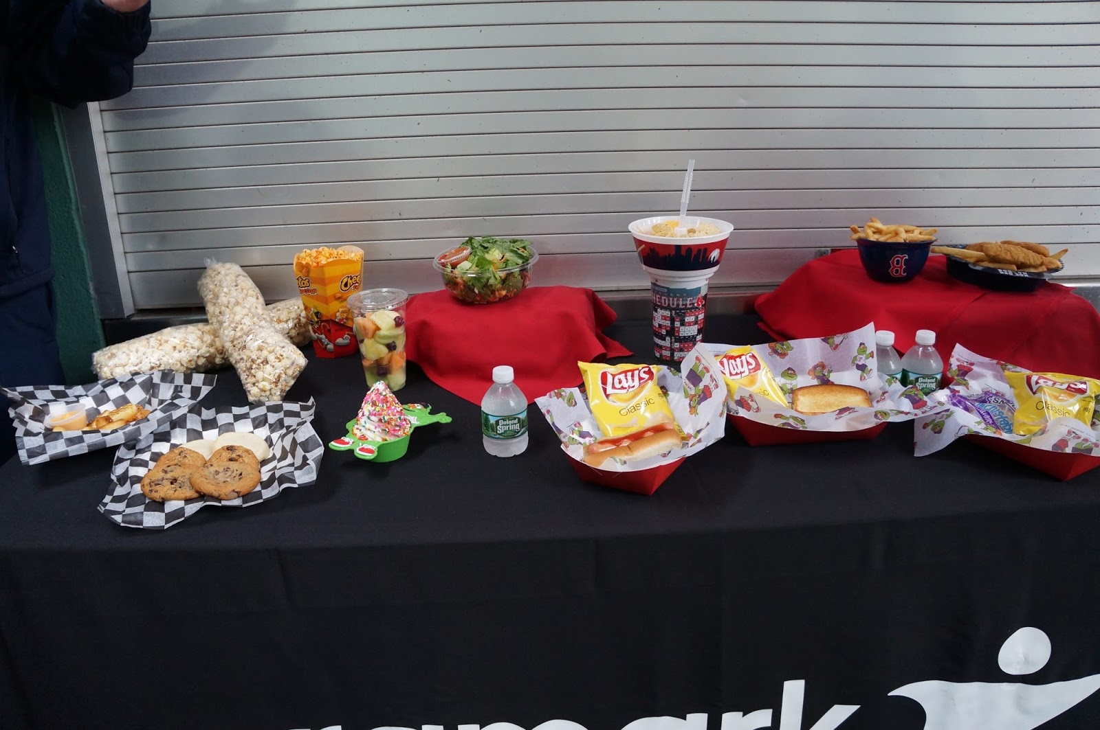 Evan and Lauren's Cool Blog: 4/19/17: Fun For Families At Fenway Park