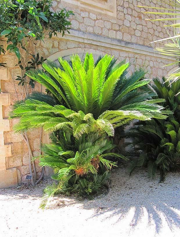 Sangrando en verde: julio 2014