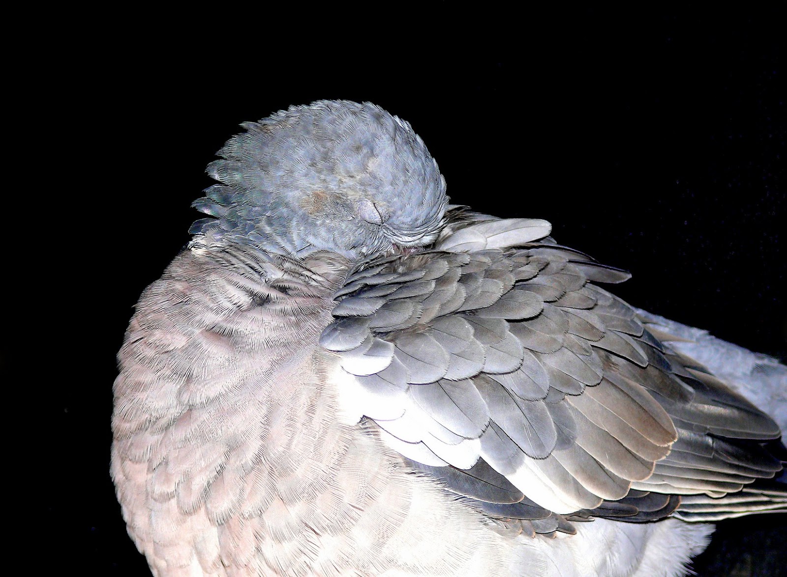 Inutile pour les uns indispensable pour les autres ! !: La suite de l ...