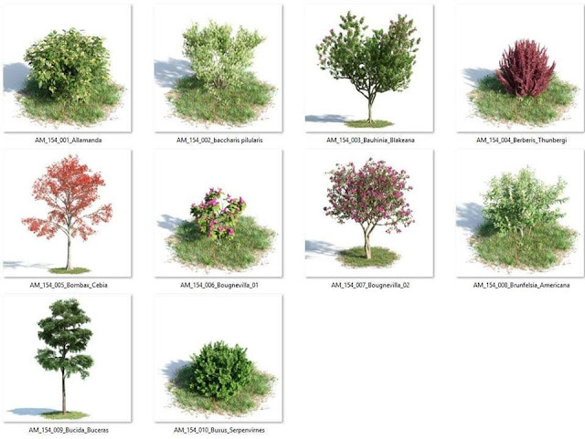 1. Trees Free Sketchup Model