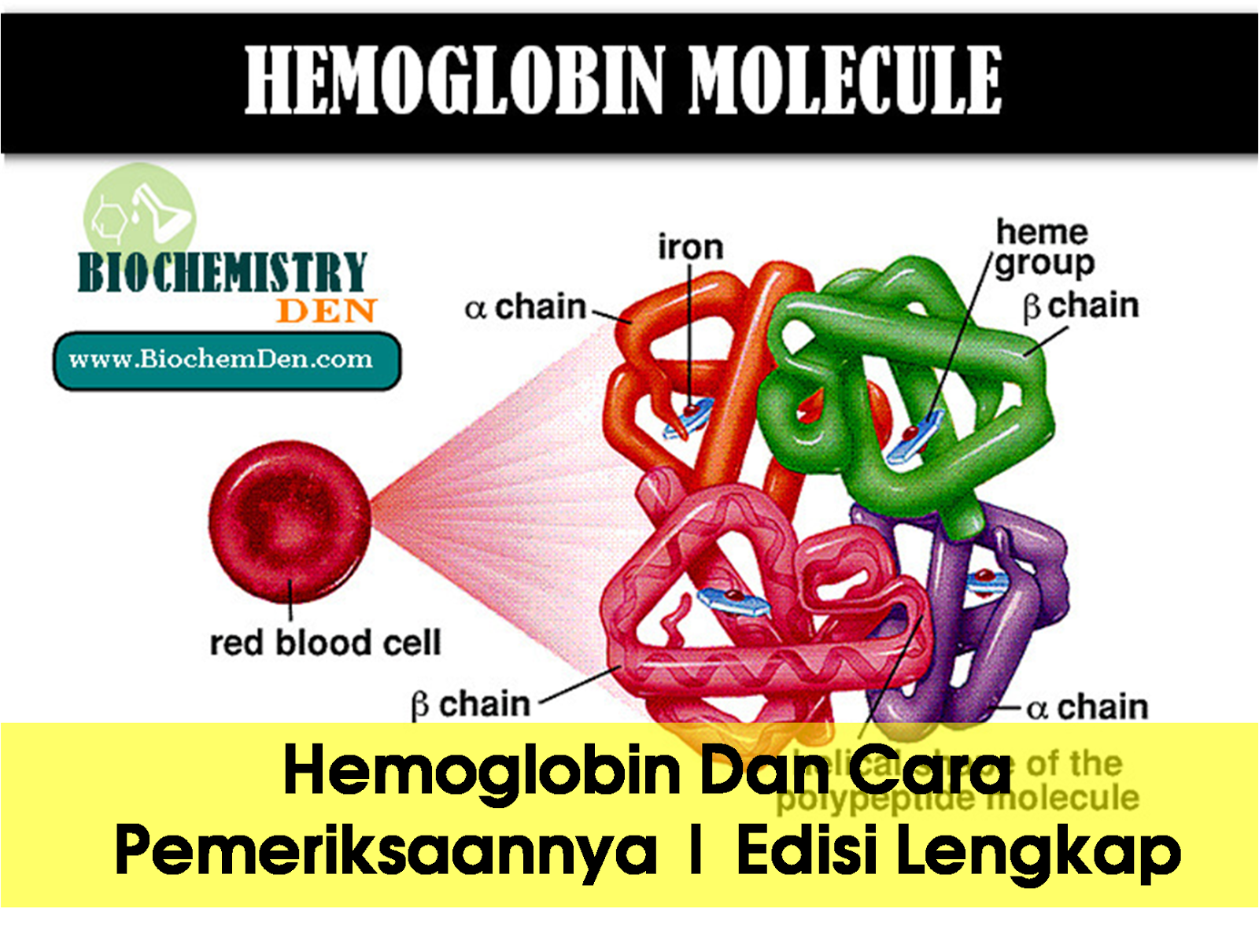 Hemoglobin Dan Cara Pemeriksaannya | Edisi Lengkap ; Seri Edukasi ...