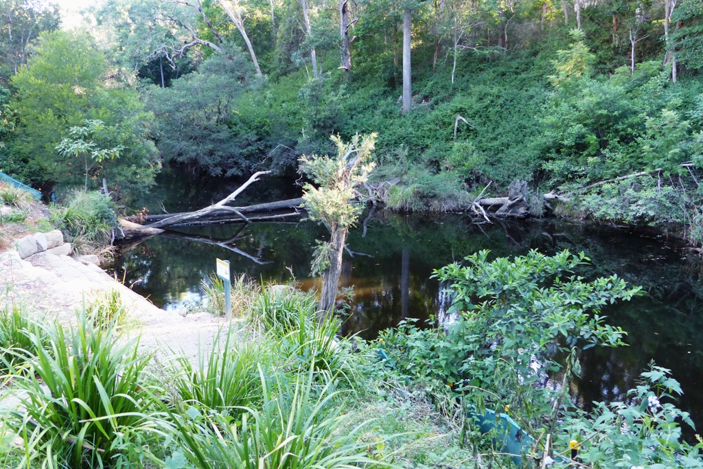 National Park Odyssey: Peach Trees Camping Area, Jimna State Forest ...