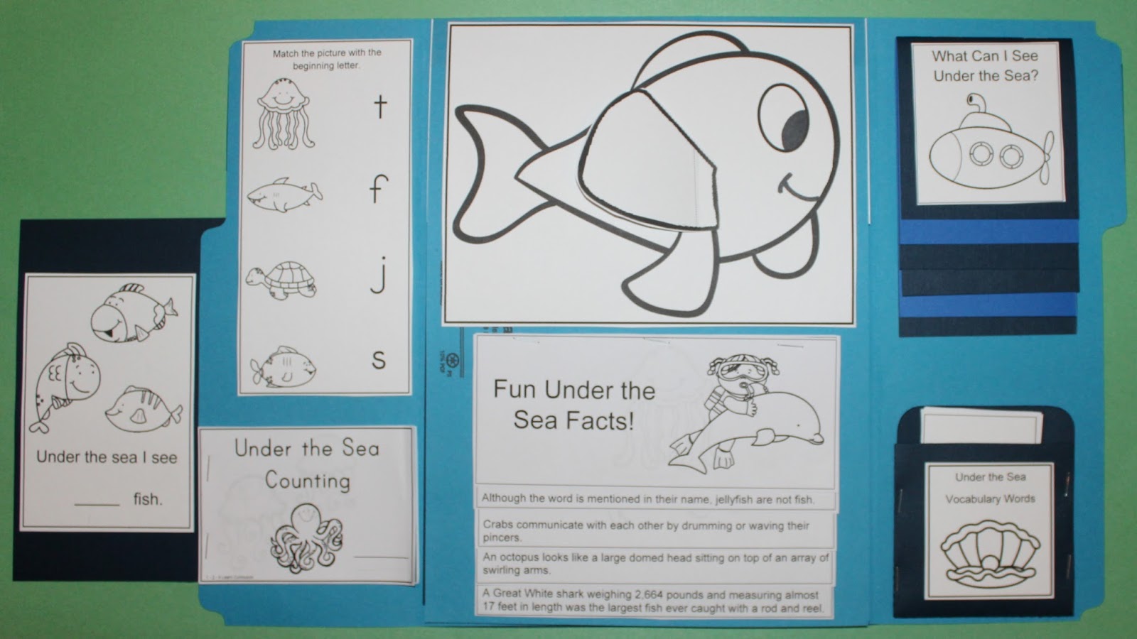 1 - 2 - 3 Learn Curriculum