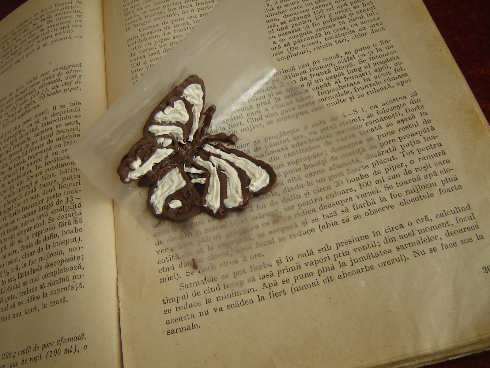 In bucatarie la Janet: Fluturasi de ciocolata