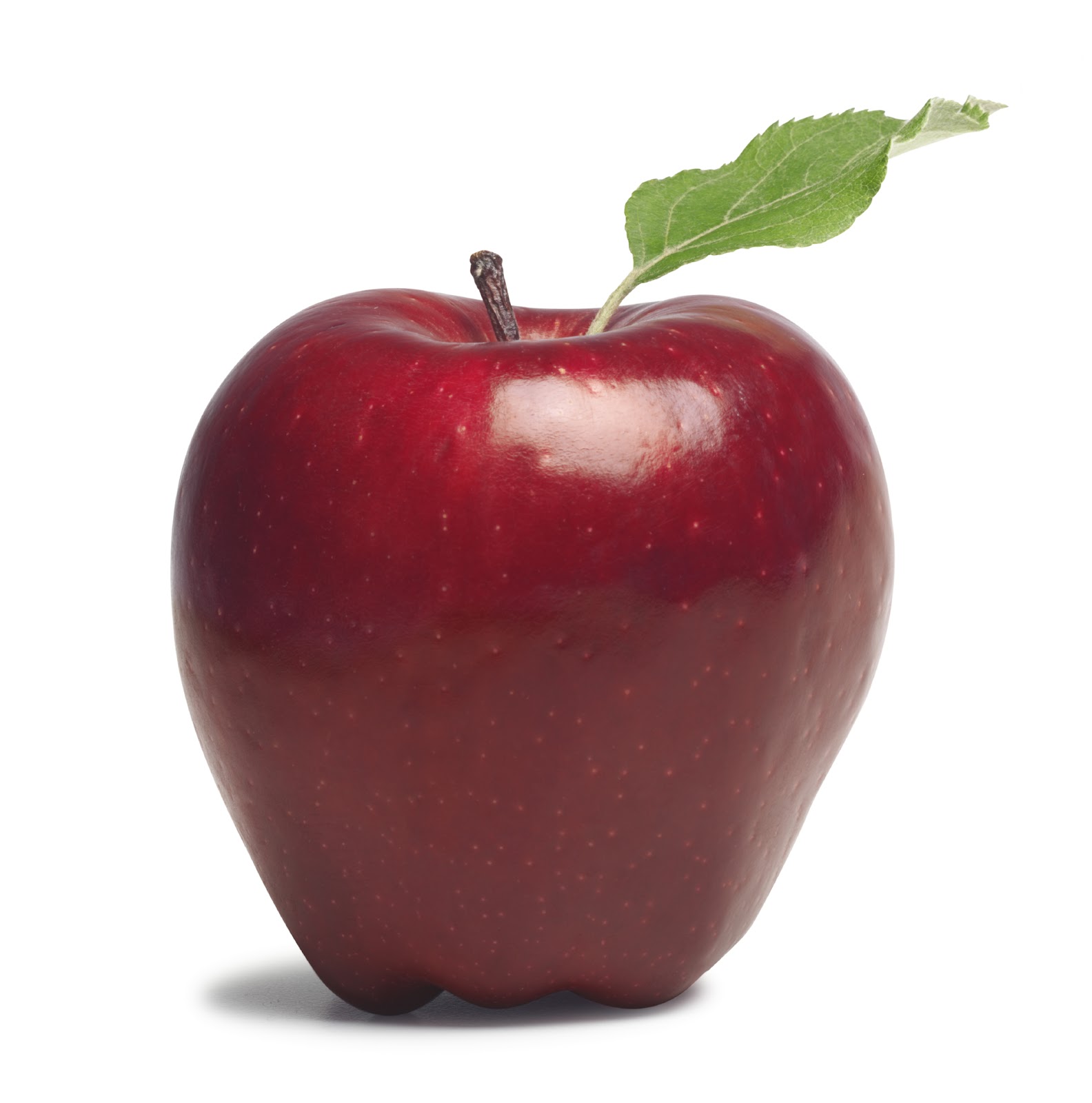 The Big Sea: An Apple for a Teacher