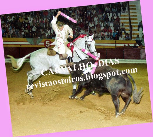 REVISTA OS TOIROS: A TEMPORADA 2014 DE ANA BATISTA