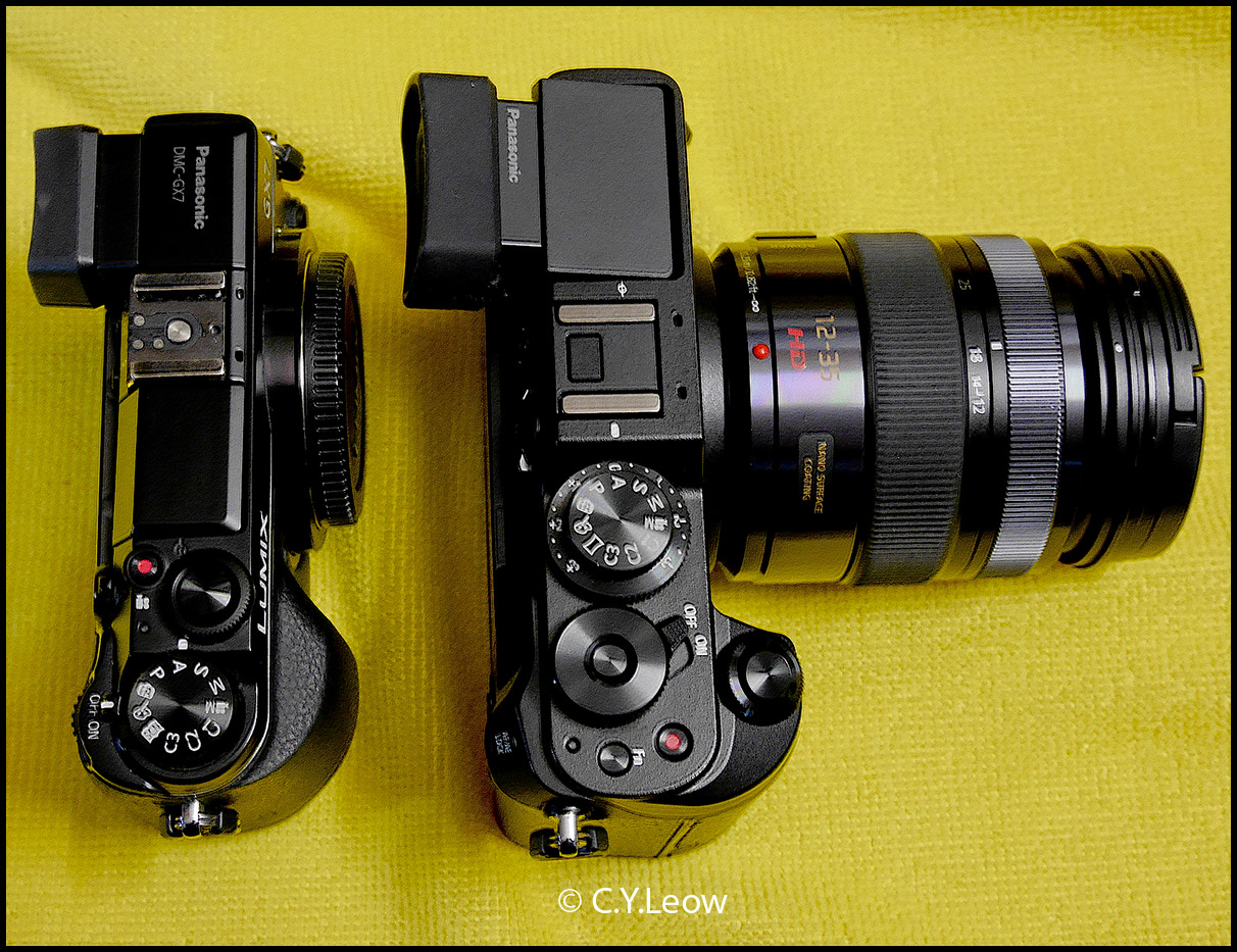 Man Behind Lens: Lumix DMC-GX8 - Prima Facie