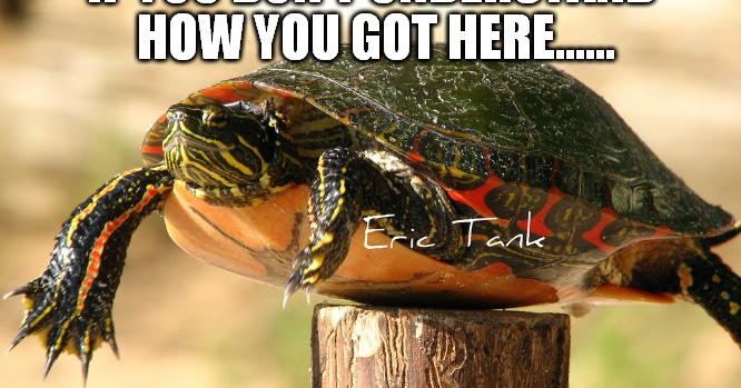 The Gold-plated Hook of Socialism |TRUMP LAND