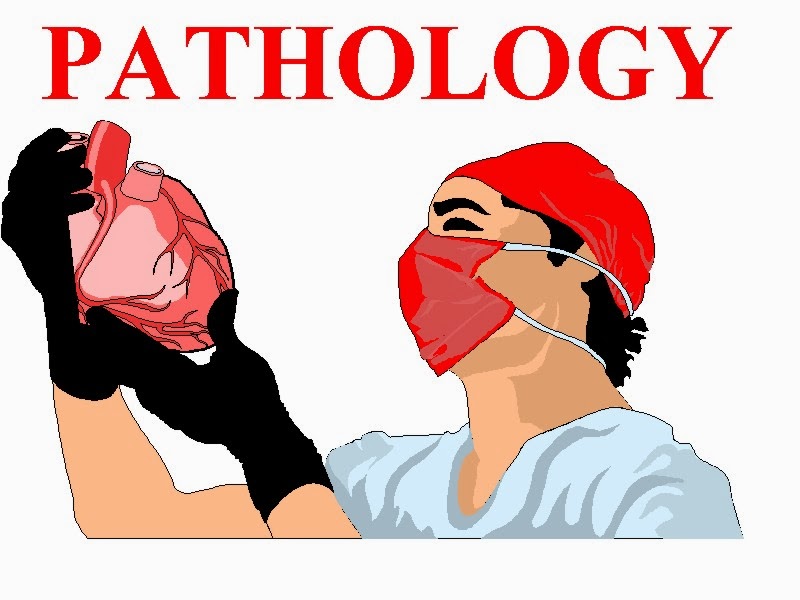 Medical Archive: تــســجــيــلات Pathology لــلــدكــتــورعــلــي ...