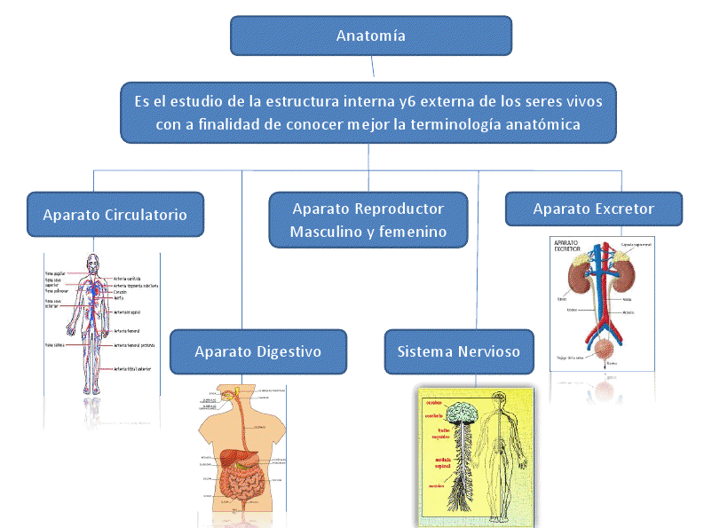 Materias de Especialidad