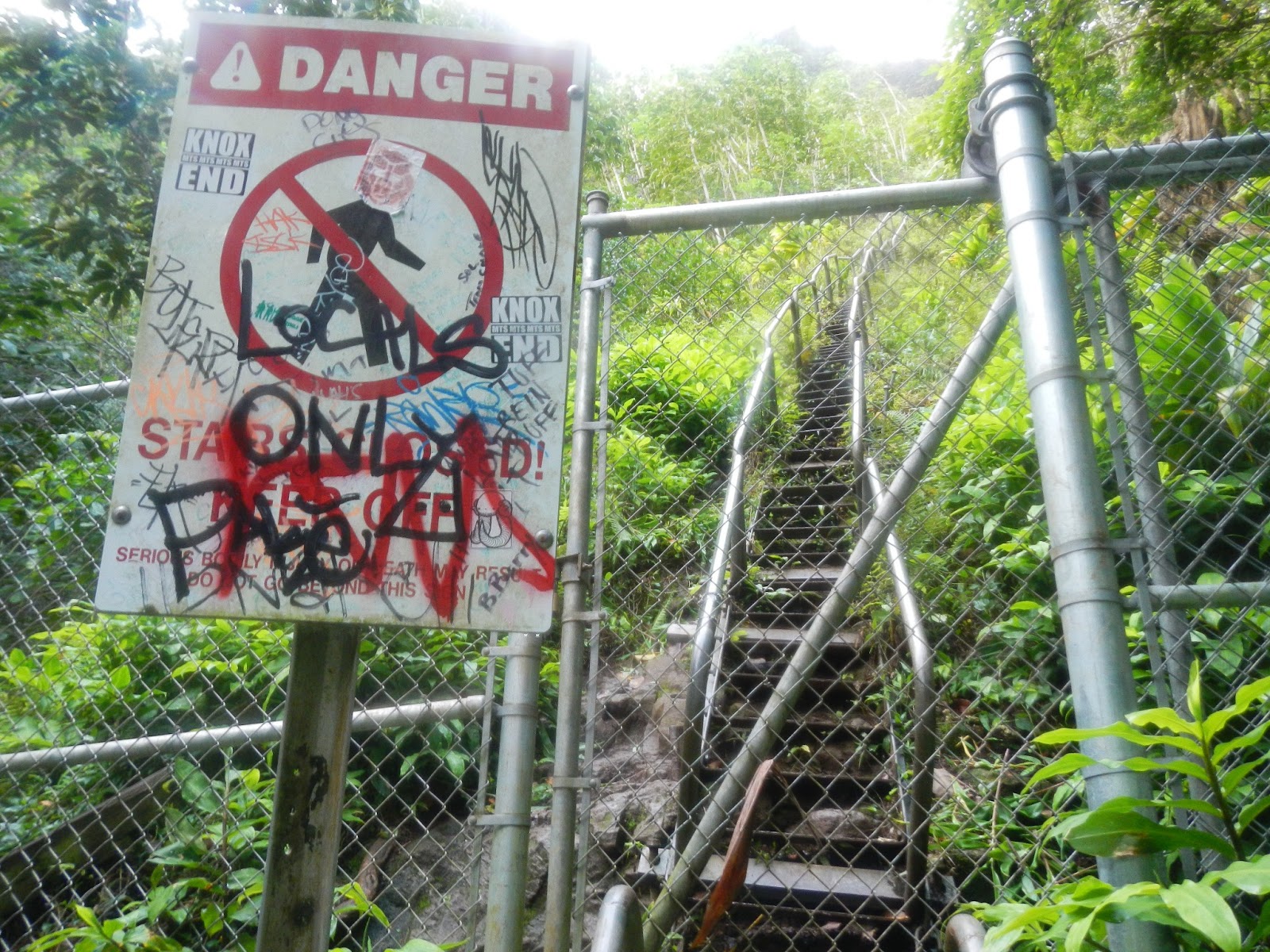 Haole Hiking: Haiku Stairs: The Forbidden Fruit