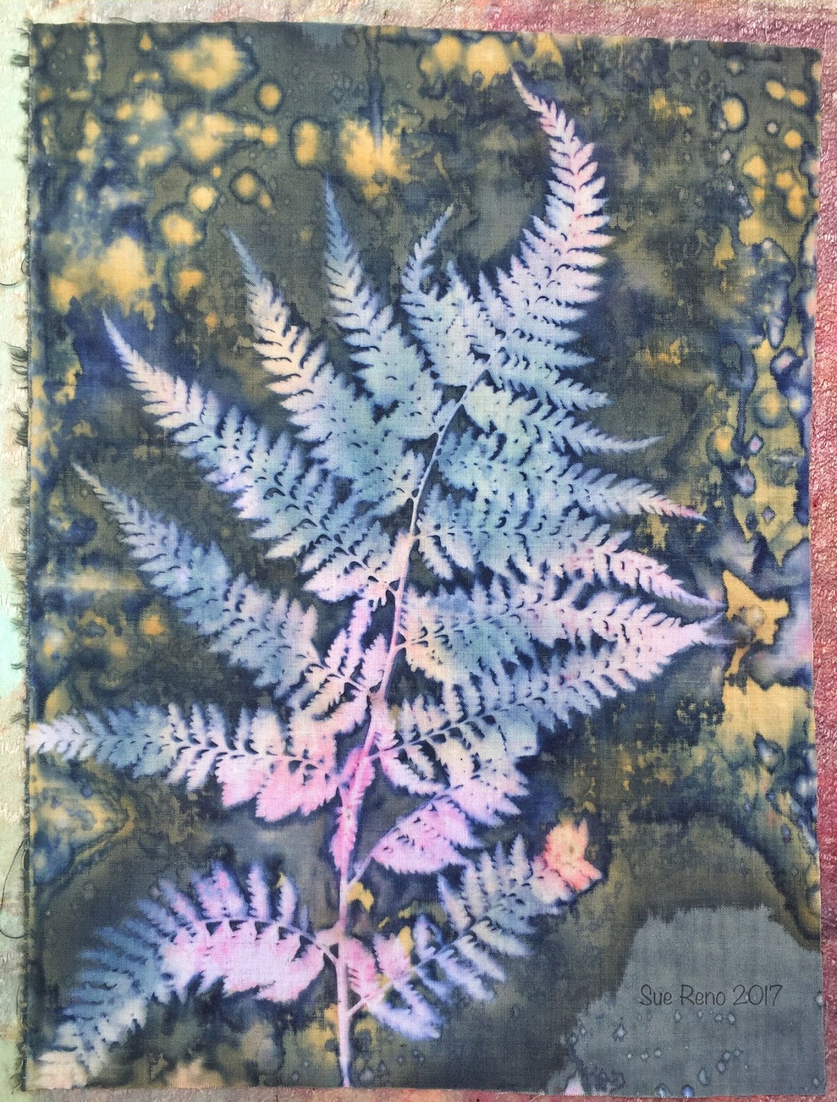 Sue Reno Studio: Experiments in wet cyanotype