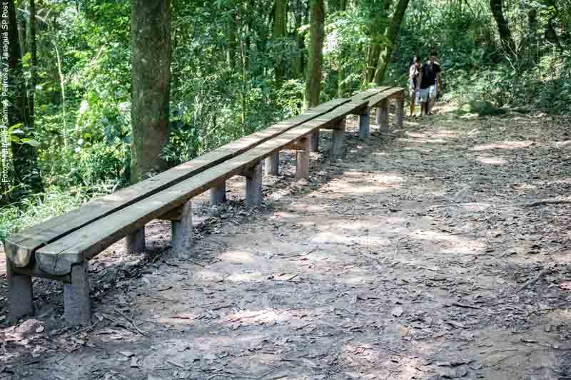 Trilha do Pai Zé em um dia de verão