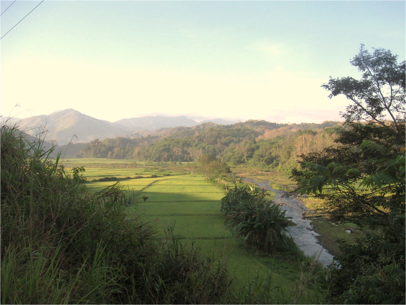 Isinay Bird: An Isinay Word Hunter's Story (Prelude)