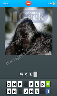 Zoomed In - Photo Word Game Level 129 ~ Doors Geek